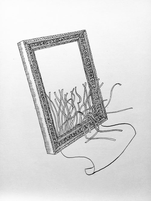 Ilustraciones de Roberto Razo – El Septentrión