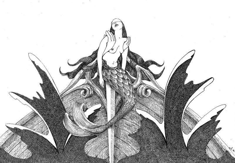 Ilustraciones de Roberto Razo – El Septentrión